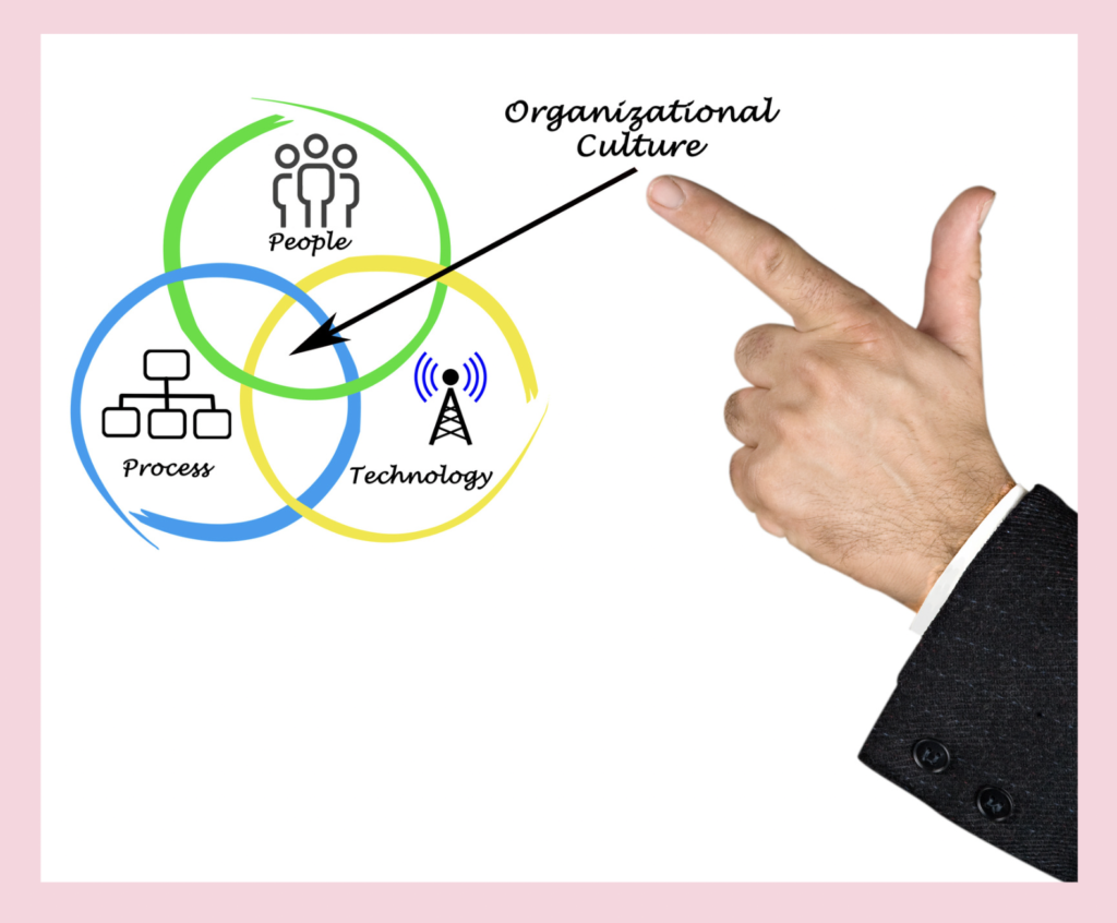 Topic 2: Factors Influencing Organizational Culture – HDI Learning Topic 2: Factors Influencing Organizational Culture – HDI Learning